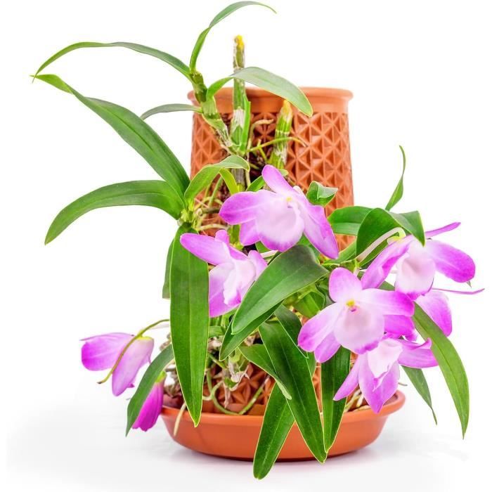 Pot De Fleur Interieur - Pots De Fleurs Avec Système D'Arrosage ...