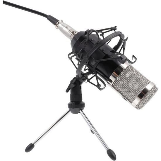 1 Ensemble Microphone À Condensateur Micro De Musique Micro Karaoké ...
