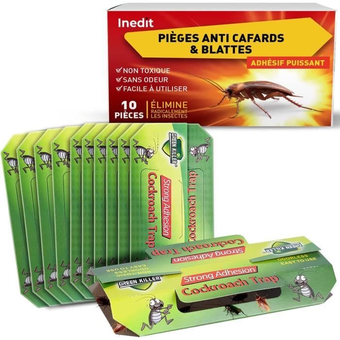 Societe Anti Cafard Prix