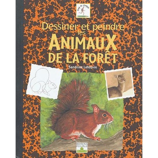 Dessiner et peindre les animaux de la forêt - Cdiscount