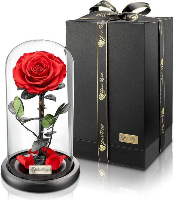 Véritable Rose Premium dans Une boîte Cadeau en Verre | Longue durée de ...