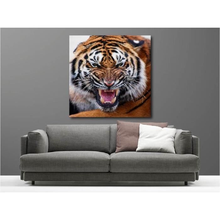 Tableaux toile tigre - dimensions tableaux:90x90cm - Cdiscount Maison