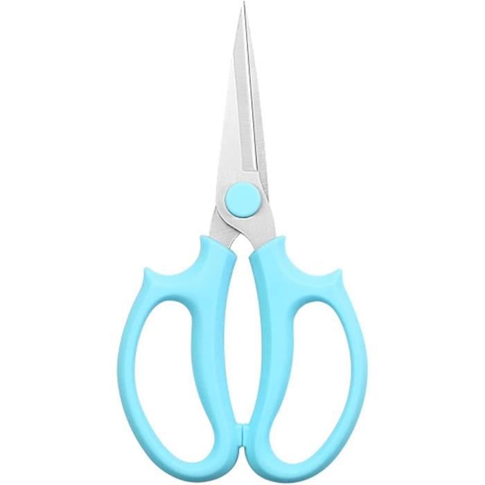 Ciseaux De Jardinier Pour Fleuriste De Jardin, Pour Couper Des Plantes ...