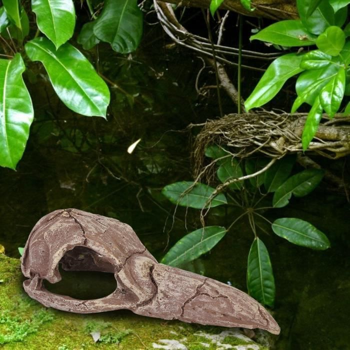 Cikonielf paysage de cache de grotte de reptile Simulation Résine ...
