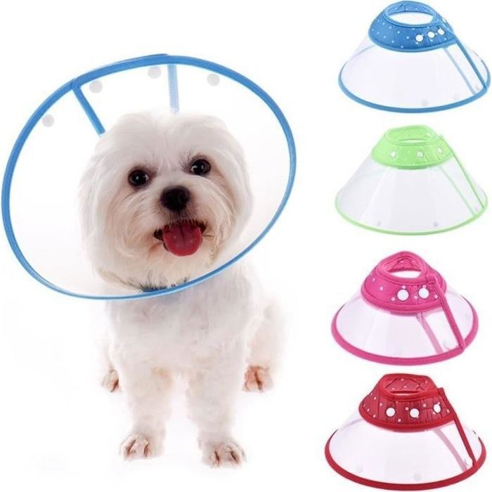 Collerette Chien/Chat Collerette A Pois de Protection Couleur Aléatoire ...