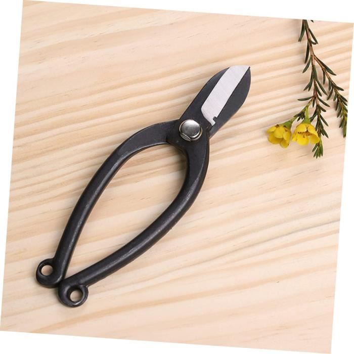 Sécateurs À Main Ciseaux À Bonsaï Ciseaux À Plantes Cisailles À Plantes ...
