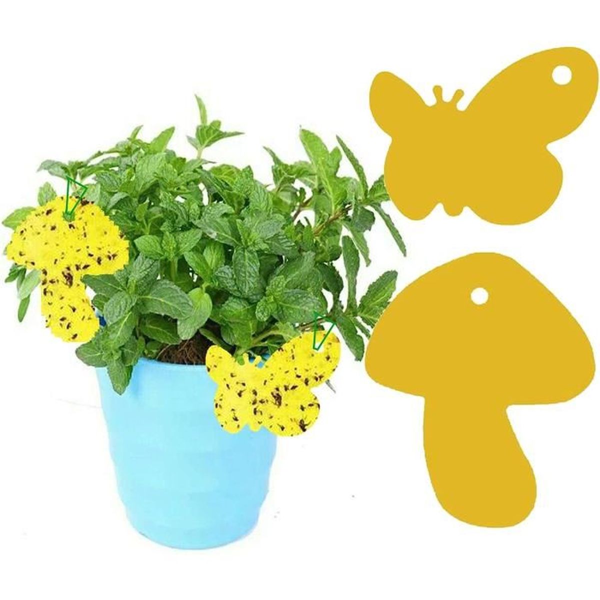 Pièges à Insectes,48pcs Jaunes Attrape Mouches piège Collants Double ...