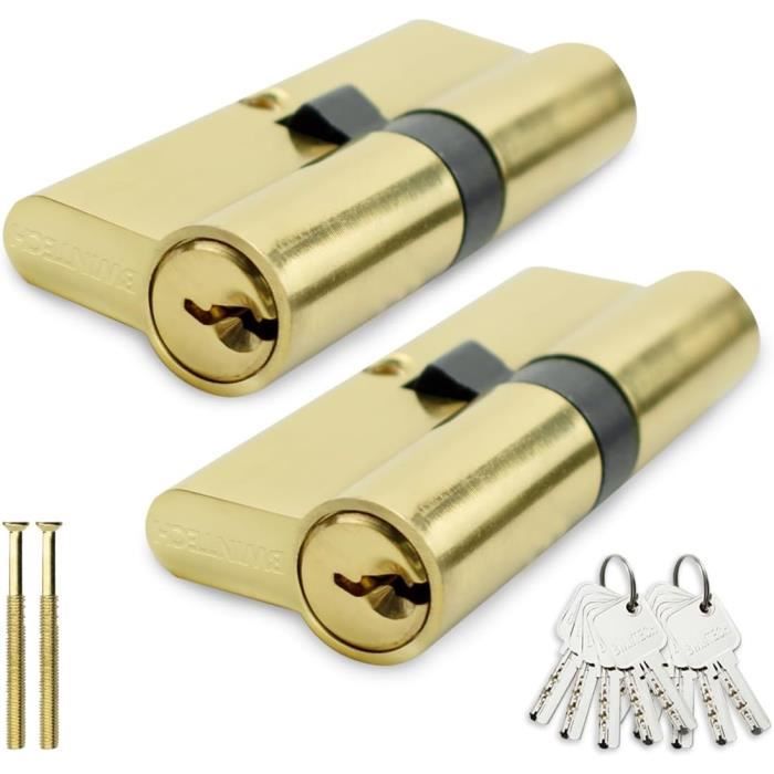 Serrure à Clé en Laiton Euro 40-40mm - Polished Brass - 2 Pièces - Anti ...