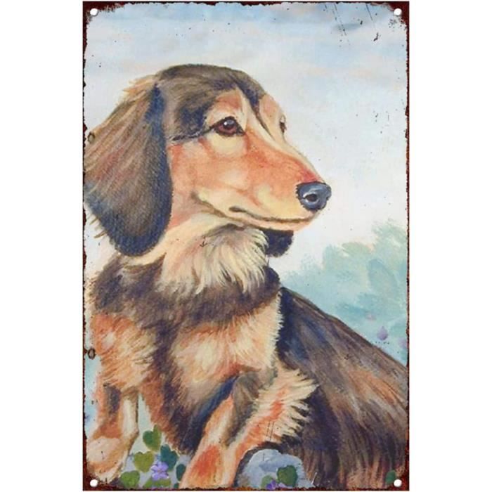Poster Métallique Affiche,Teckel Chien Animal,Peinture Art Décoratif ...