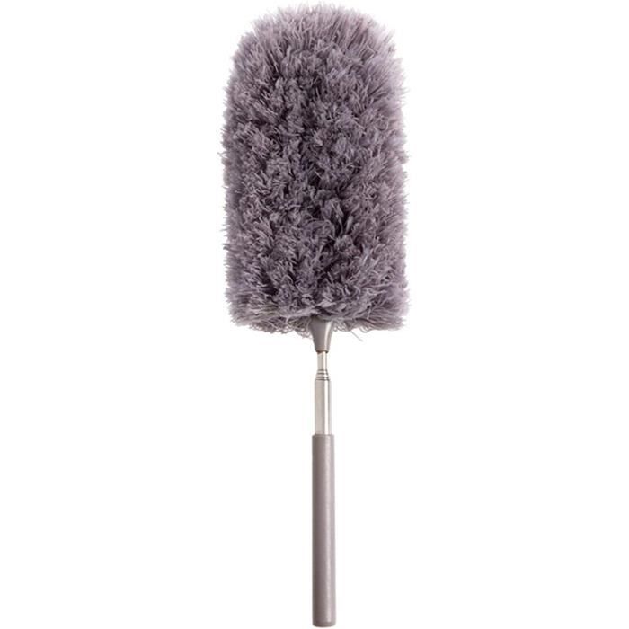 Plumeau Extensible avec Rallonge en Acier Inoxydable, Plumeaux ...