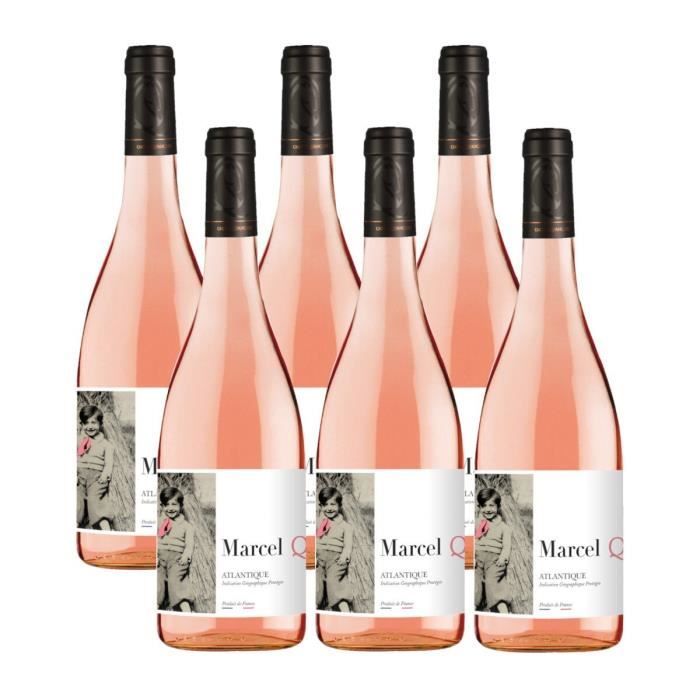 Marcel Q1 2021 - IGP Atlantique - Vin Rosé - Carton de 6 bouteilles ...