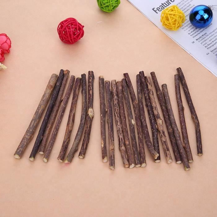Bâtonnets de fruits naturels Matatabi pour chat, 15 ou 20 pièces, tige ...