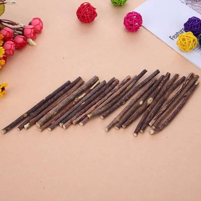 Bâtonnets de fruits naturels Matatabi pour chat, 15 ou 20 pièces, tige ...