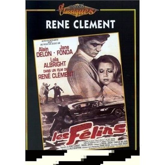 DVD Les felins - Cdiscount DVD