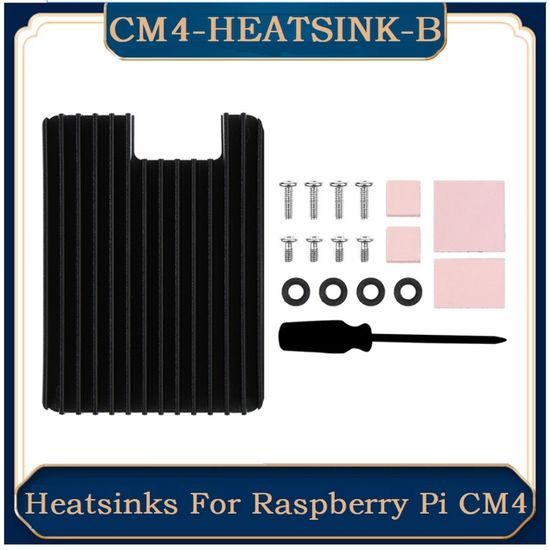 Dissipateur Thermique pour Raspberry Pi CM4 avec Radiateur à Tampon ...