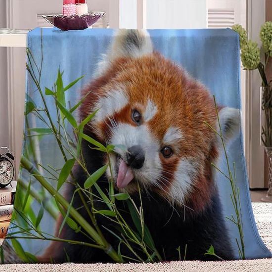 Couverture Panda Roux Animal Plaid Polaire 130X150 Cm Chaude Douce ...