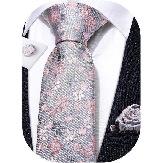 Ensemble De Cravates En Soie Pour Homme Avec Mouchoir, Boutons De ...