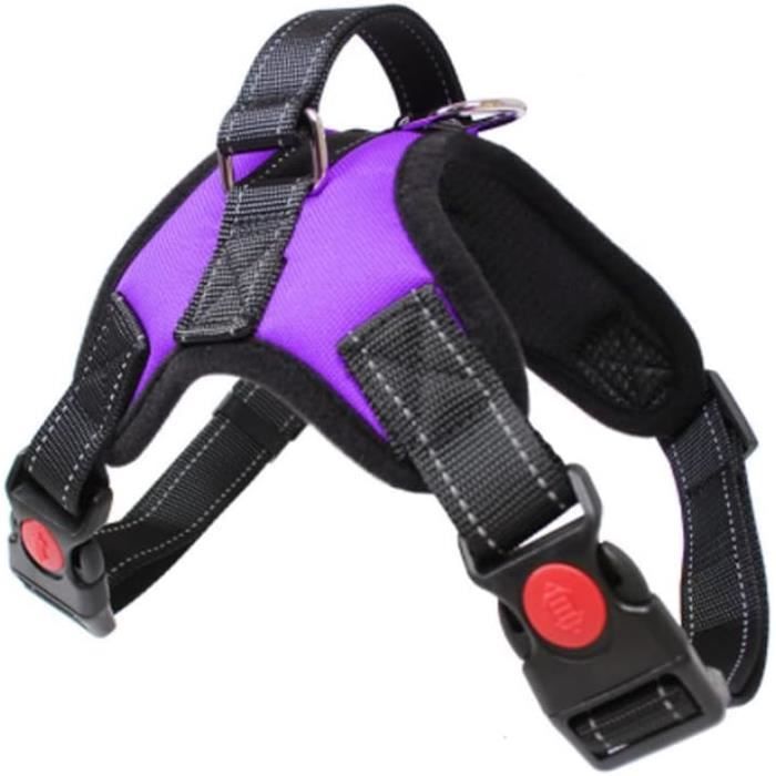 Feimax Harnais Petit Chien Anti Traction Gilet Choit Réfléchissant ...