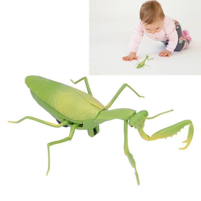 ESTINK jouet d'insecte électrique (Praying Mantis)Animal RC Insecte ...