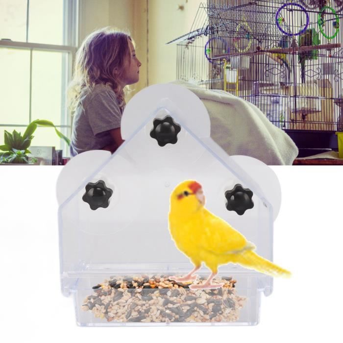 YES Mangeoire à oiseaux à fenêtre transparente Mangeoire à oiseaux de ...
