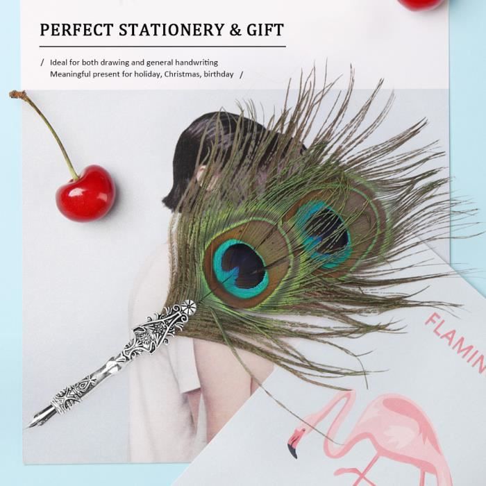 YOSOO Stylo à plume Stylo Plume Vintage Classique Stylo Plume de ...