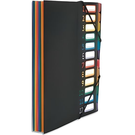 VIQUEL Trieur vertical RAINBOW 12 compartiments… - Cdiscount Beaux-Arts ...
