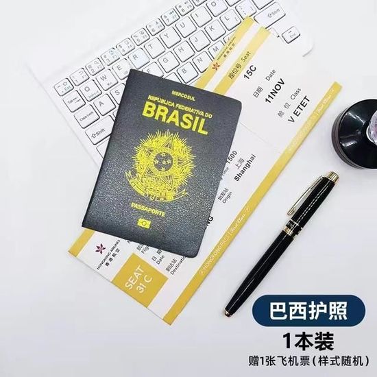 CARNET DE NOTES,Brazil--Simulation De Passeport Pour 32 Pays, Mini ...