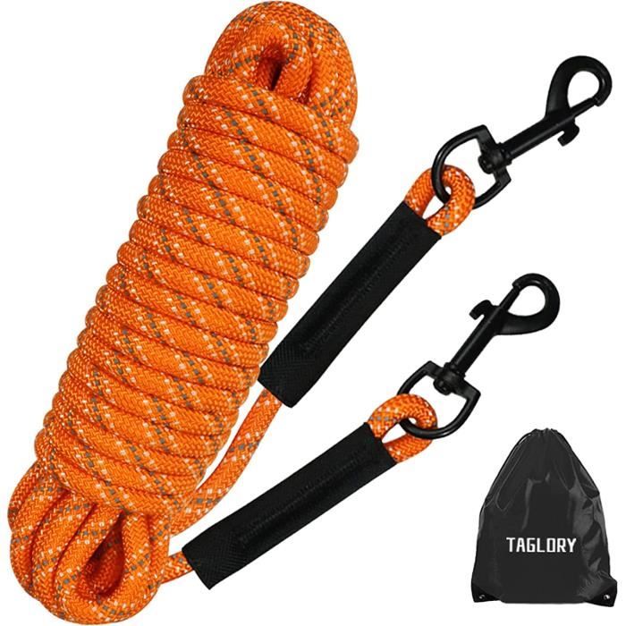Taglory Longe pour Chien 5m, Long Laisse Chien Corde avec 2 Mousquetons ...