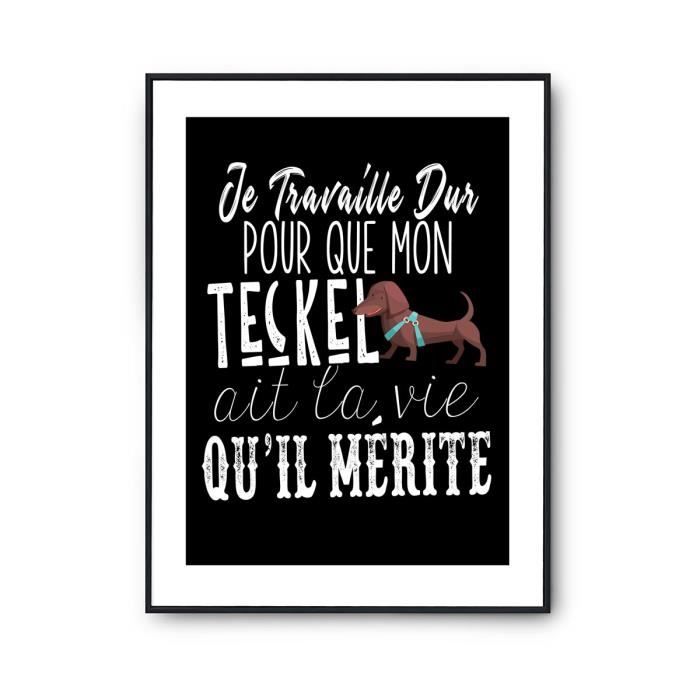 Affiche - Teckel - Humour - Décoration murale - Papier Premium - A2 ...