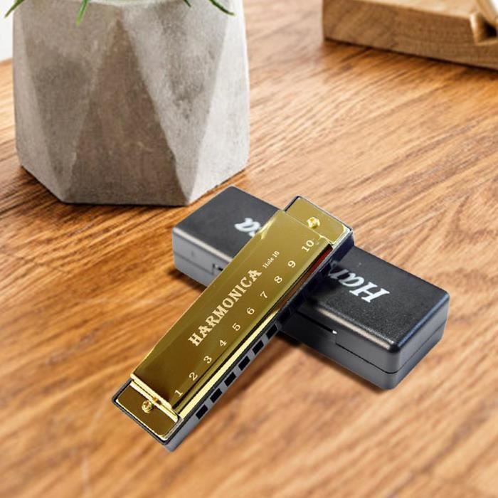 ESTINK Harmonica à bouche 10 trous Jouet d'instrument de musique non ...
