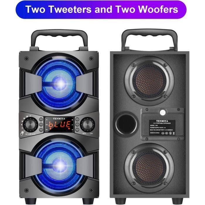 Haut-Parleur Bluetooth Portable 60 W Avec Double Caisson De Basses ...