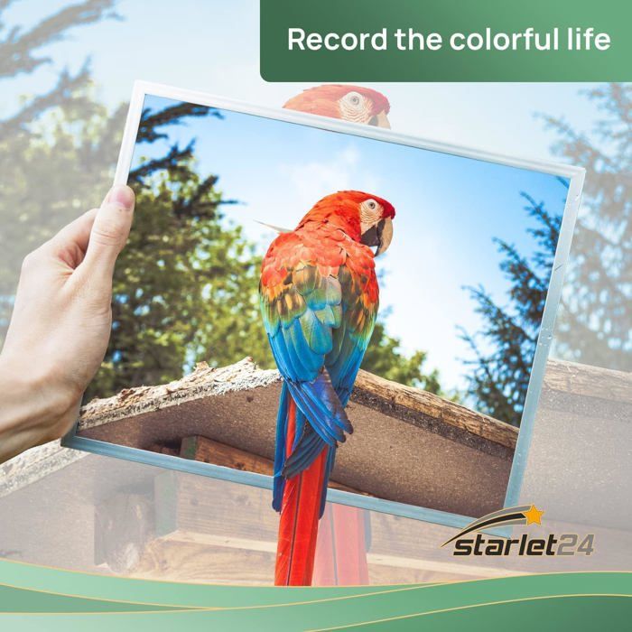 10x T1285 Cartouche Compatibles avec Epson T1281 T1282 T1283 pour ...