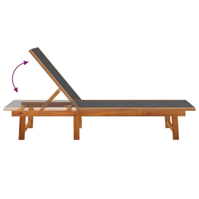 VidaXL Lot de 2 Chaises Longues, Bain de Soleil, Transat de Terrasse ...