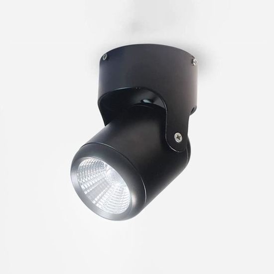 Projecteur De Plafond À Led D'Intérieur 12W Spot D'Accentuation Monté ...