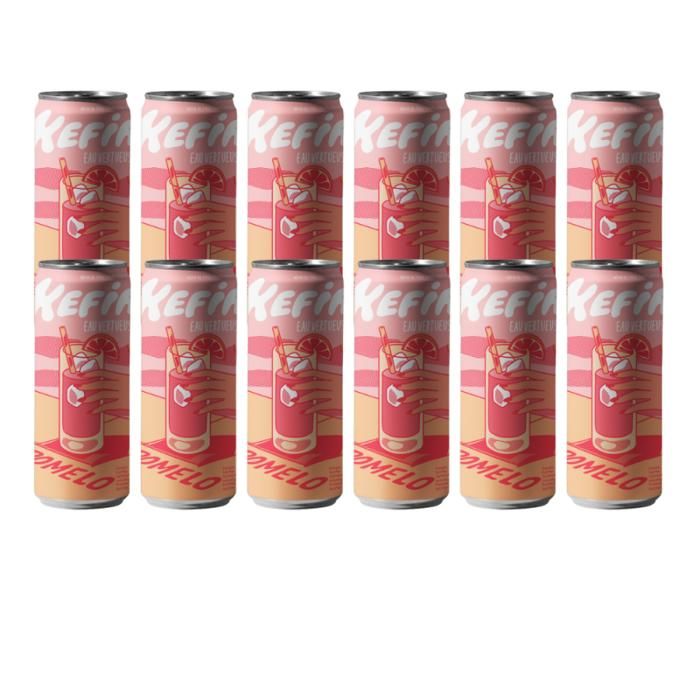 Kéfir Pamplemousse Cardamone - 12 x 25 cl - Cdiscount Au quotidien