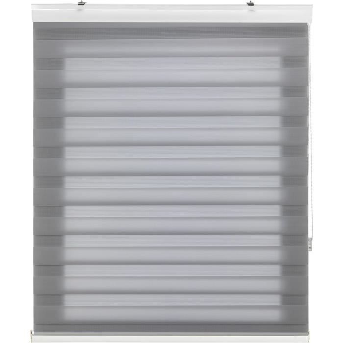 Vela Store Enrouleur Double Tissage Prime Avec Galerie | Gris Argent ...