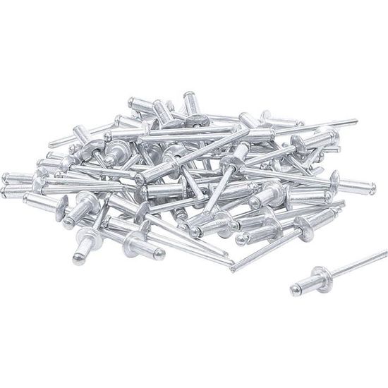 Bgs Diy 75848 - Assortiment De Rivets Pop - Ø 4,0 Mm - 50 Pièces[M1716 ...