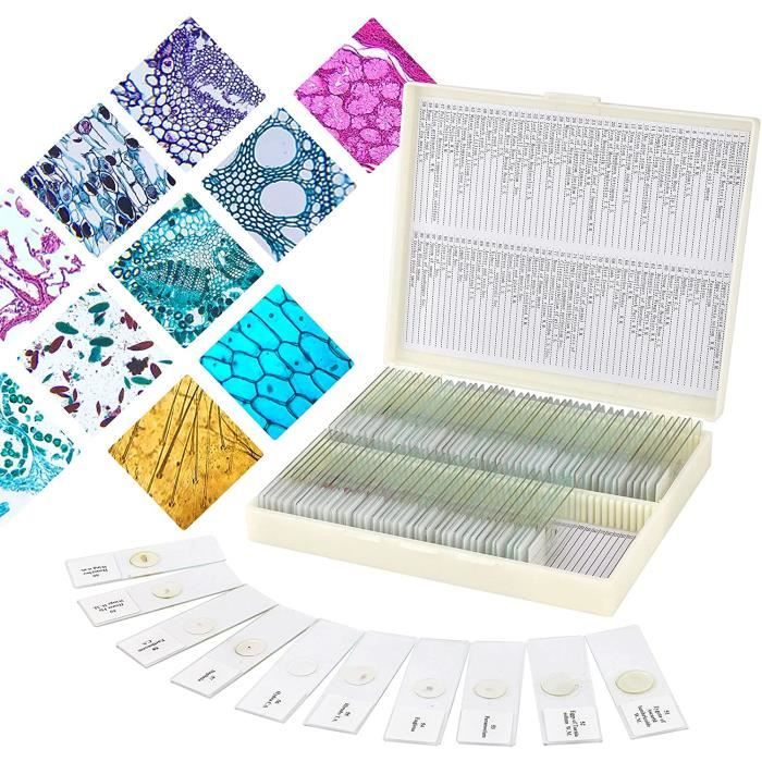 100 Lames Lame Microscope Préparées avec des Spécimens pour les Enfants ...