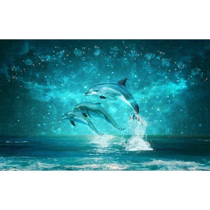 Tableau - HXA DECO - Deco Dauphins astro - 80x50 cm - Toile HD ...