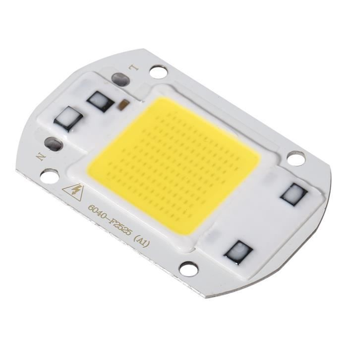 RHO- Puce LED haute puissance 1Pc 220V 30W Blanc Haute Puissance ...
