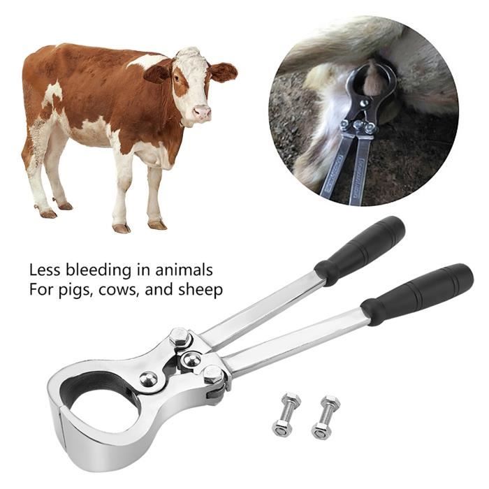 Omabeta Pince de castration Outils de castration en acier inoxydable pour émasculer les moutons ...