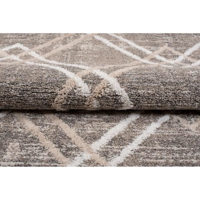 TAPISO Troya Tapis de Salon Chambre Design Moderne Géométrique Moucheté Beige Crème Frise 160 x ...