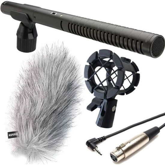 Microphone directionnel nTG - 2 pCMH1 araignée 025XJ mC-xLR-jack-câble ...