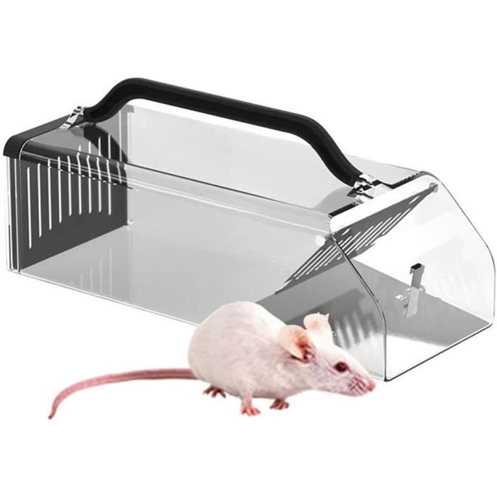 AJW-Piege A Rats Piège Anti Rat Attrape Rats Vivant Cage Efficace ...