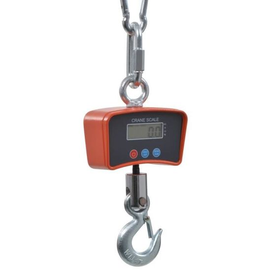 MAG Balance électronique à grue 1 000 kg 7686514637678 - Cdiscount ...