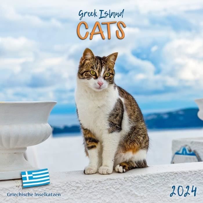 CALENDRIER 2024 CHAT DES ILES GRECQUES (TS) CHATS - SANTORIN + offert ...
