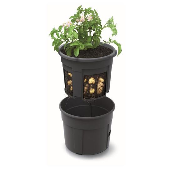 Pot de fleurs 12 L jardinière pour pommes de terre Potato planteur à ...