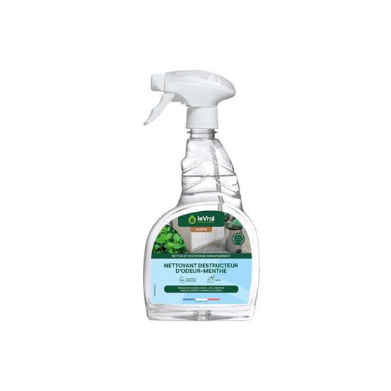 Nettoyant destructeur d'odeurs - LE VRAI PRO MAISON - Spray - Menthe - 750ml - Cdiscount Maison