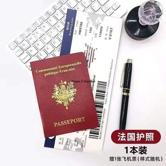 CAHIER,France-9x12.5 cm--Carnet de notes avec passeport, papeterie pour ...