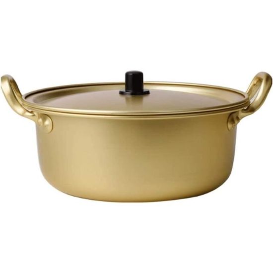 LIWI-cocotte Marmite Râmen Pot en Aluminium marmite à Soupe avec ...